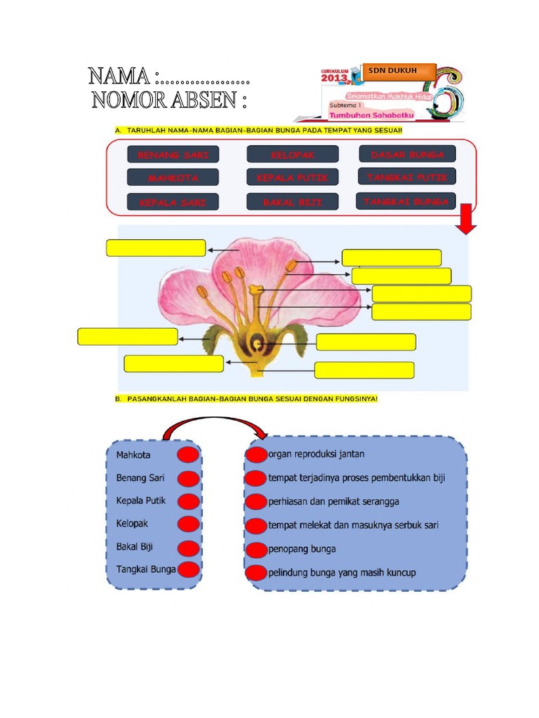 LKPD Ipa Bagian Bunga PDF | PDF