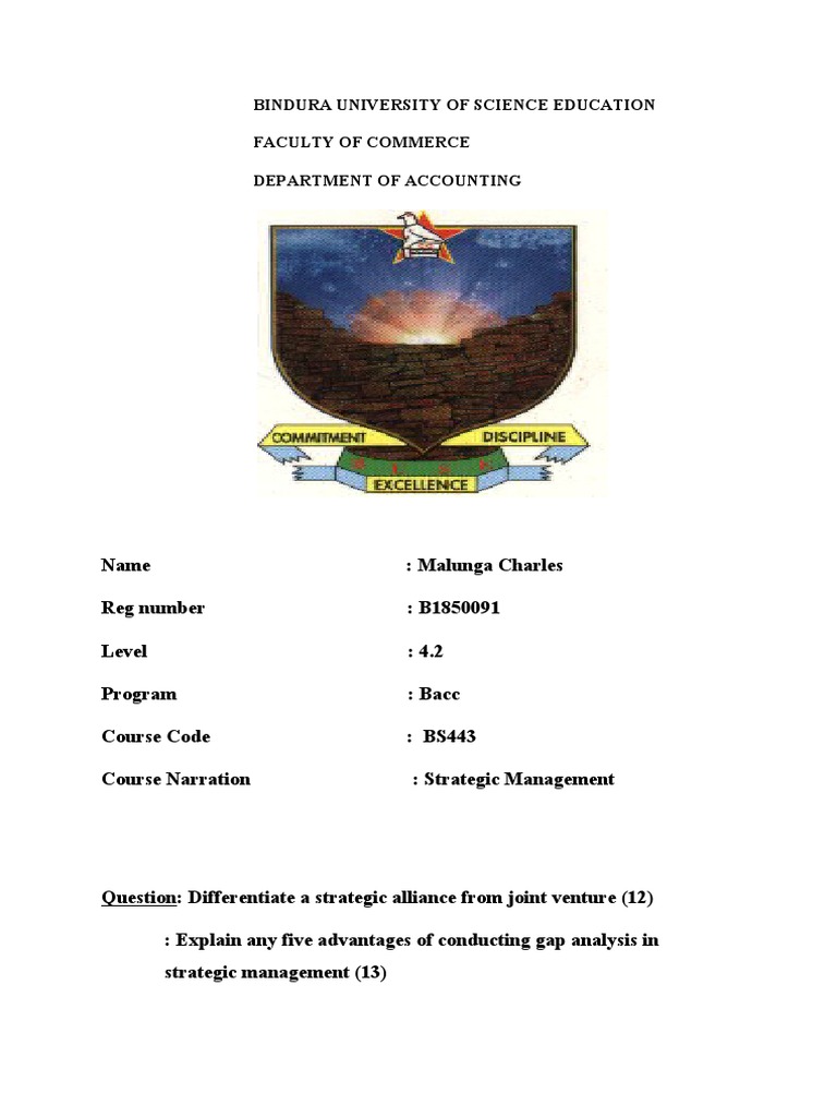 Charles Malunga write up BS443 | PDF | Joint Venture | Strategic Management