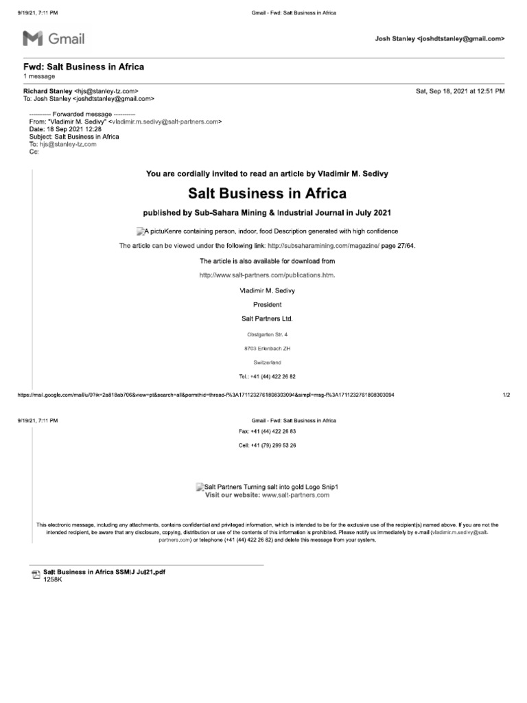 Salt Business in Africa - Vladimir Sedivy 2021 | PDF