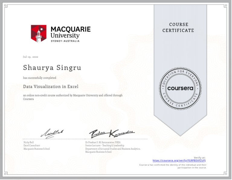 Excel Data Visualization Course Completion | PDF