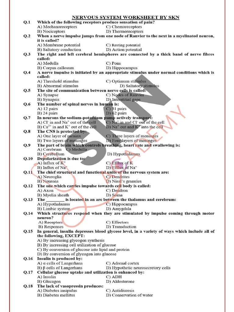 Coordination and Control Nervous & Chemical Coordination 600 Mcqs Worksheet 2021 by SKN | PDF