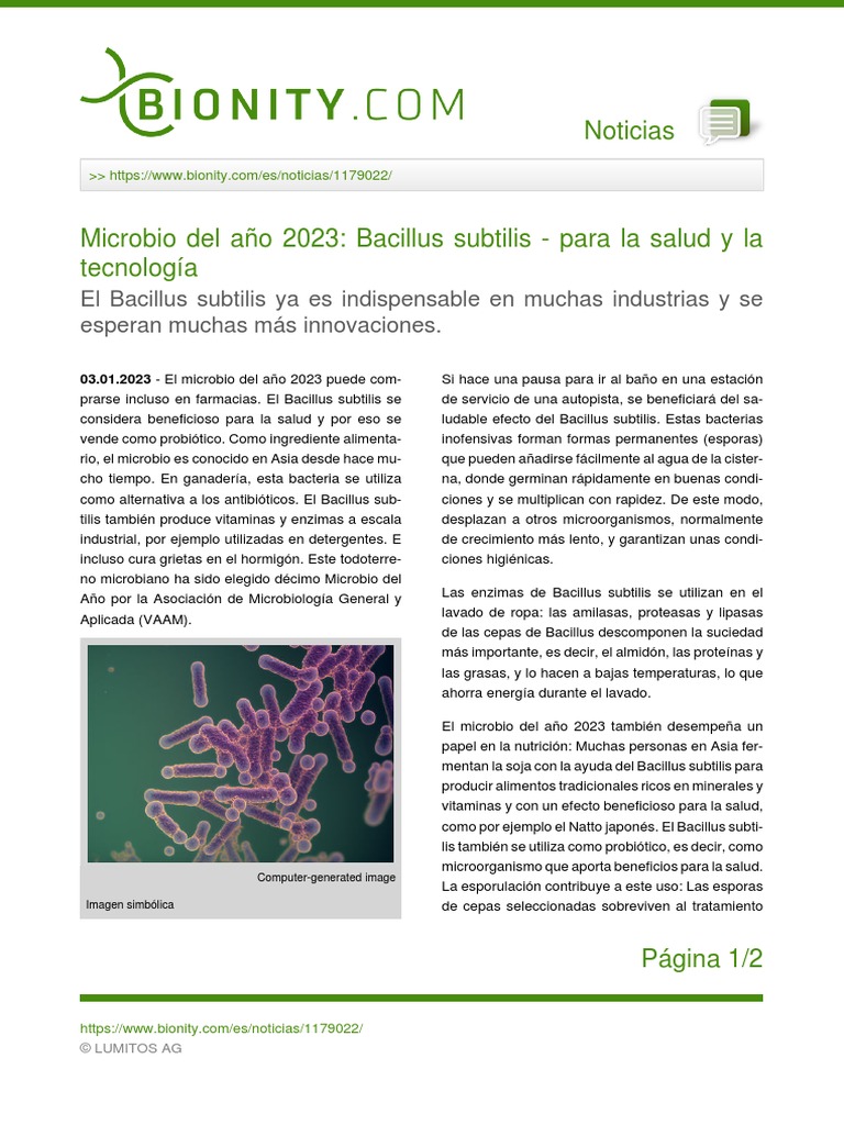 Bacillus Subtilis | PDF