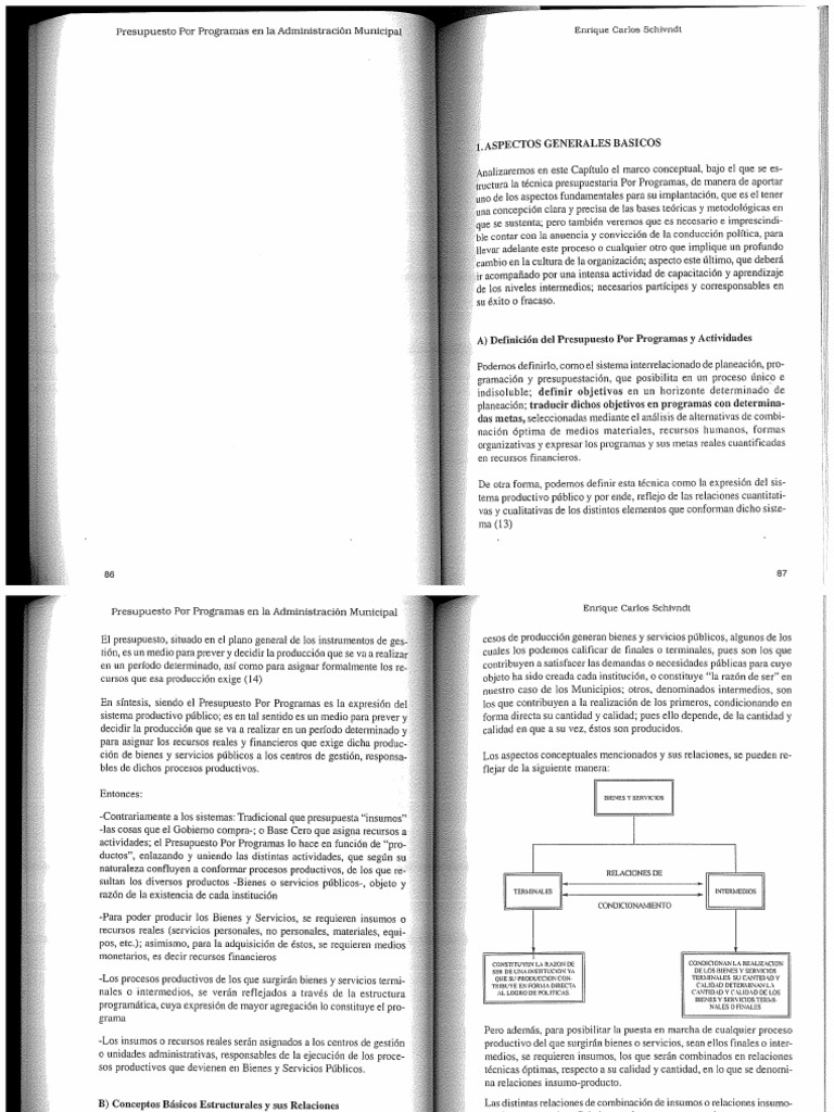 Presupuesto Por Programas-Enrique Schivndt | PDF