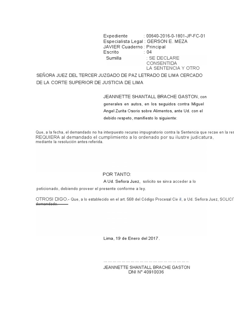 Modelo de Consentida La Demanda | PDF