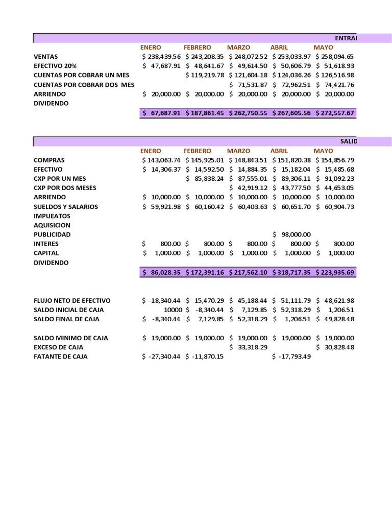 Flujo de Caja | PDF | Economias | Business