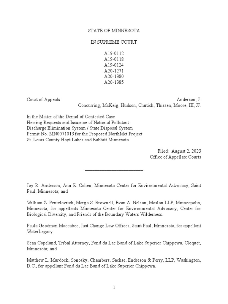 A19-0112 Minnesota State Supreme Court | PDF
