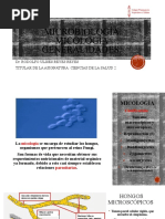 Anatomía de la Cápsula de Glisson | PDF | Tejido adiposo | Riñón