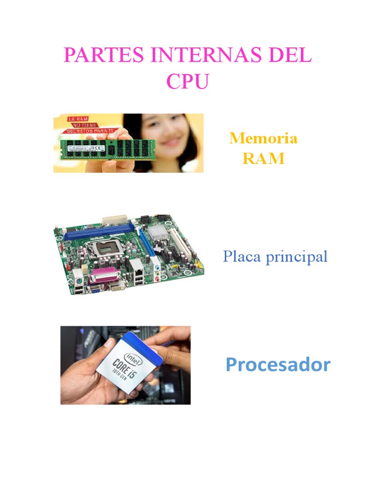 Partes Internas Del Cpu | PDF Partes Internas Del Cpu | PDF