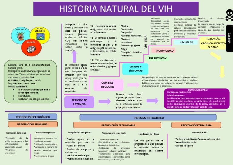 Historia Natural del VIH/SIDA | PDF