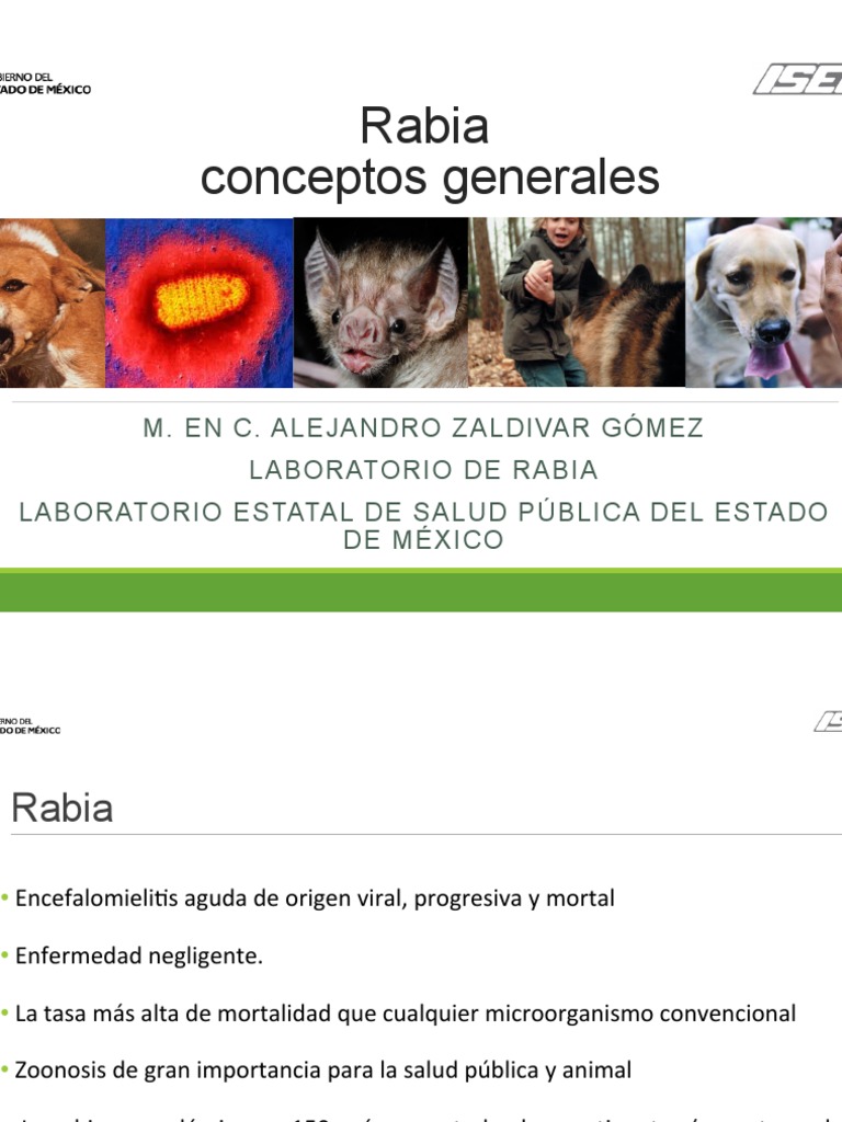 Rabia Conceptos Generales | PDF | Rabia | Virus