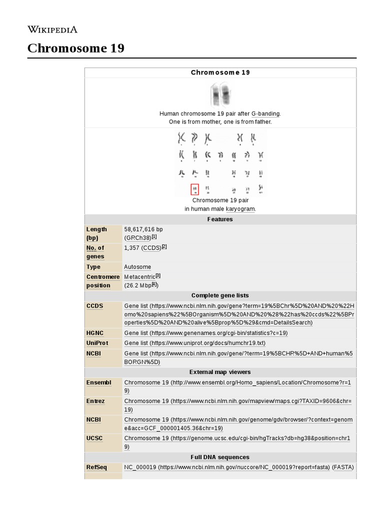 Chromosome 19 | PDF | Gene | Chromosome