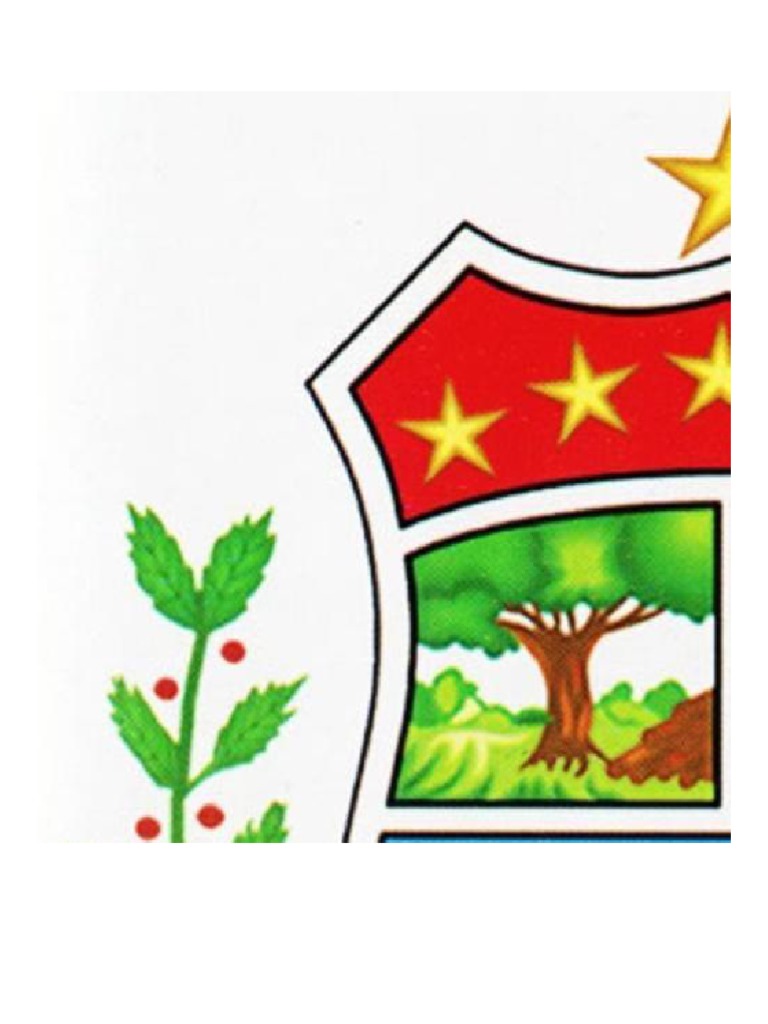 Escudo de Pando | PDF