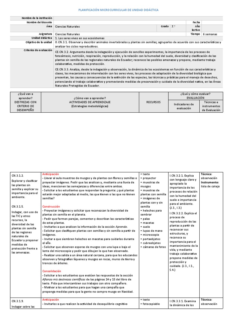 Planificación Guía de Stem 7 Egb Unidad 1 | PDF