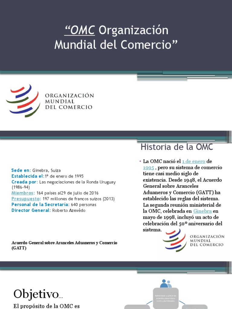 Que Es La OMC | PDF