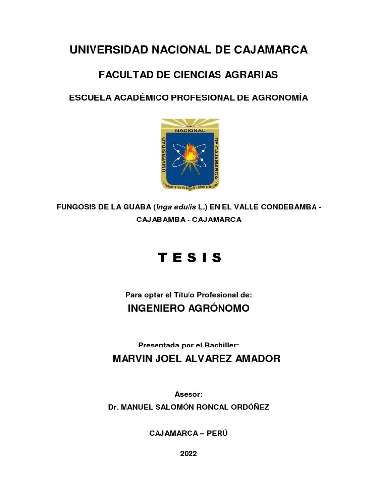 Tesis Marvin Joel Alvarez Amador | PDF | Hongo | Molde