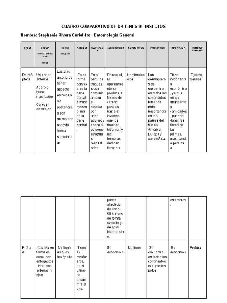 Cuadro Comparativo de Los Ordenes de Los Insectos | PDF | Insectos ...