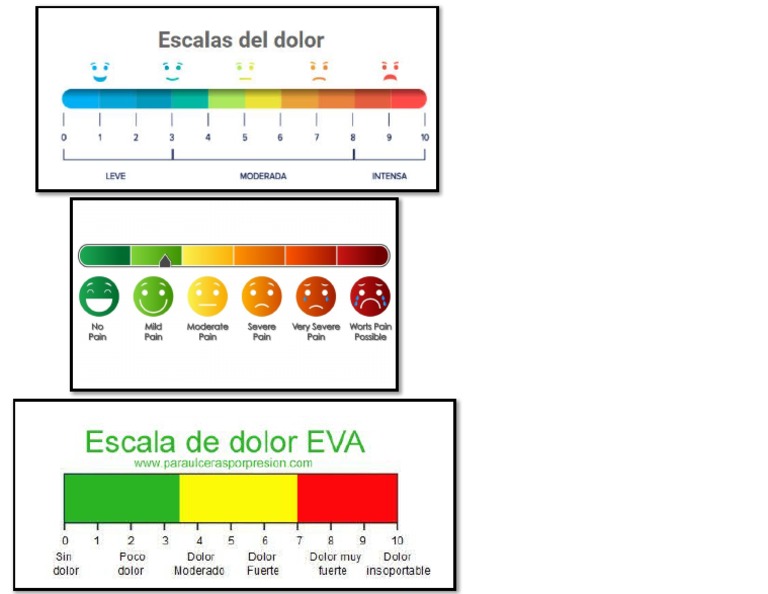 Escalas de Eva | PDF