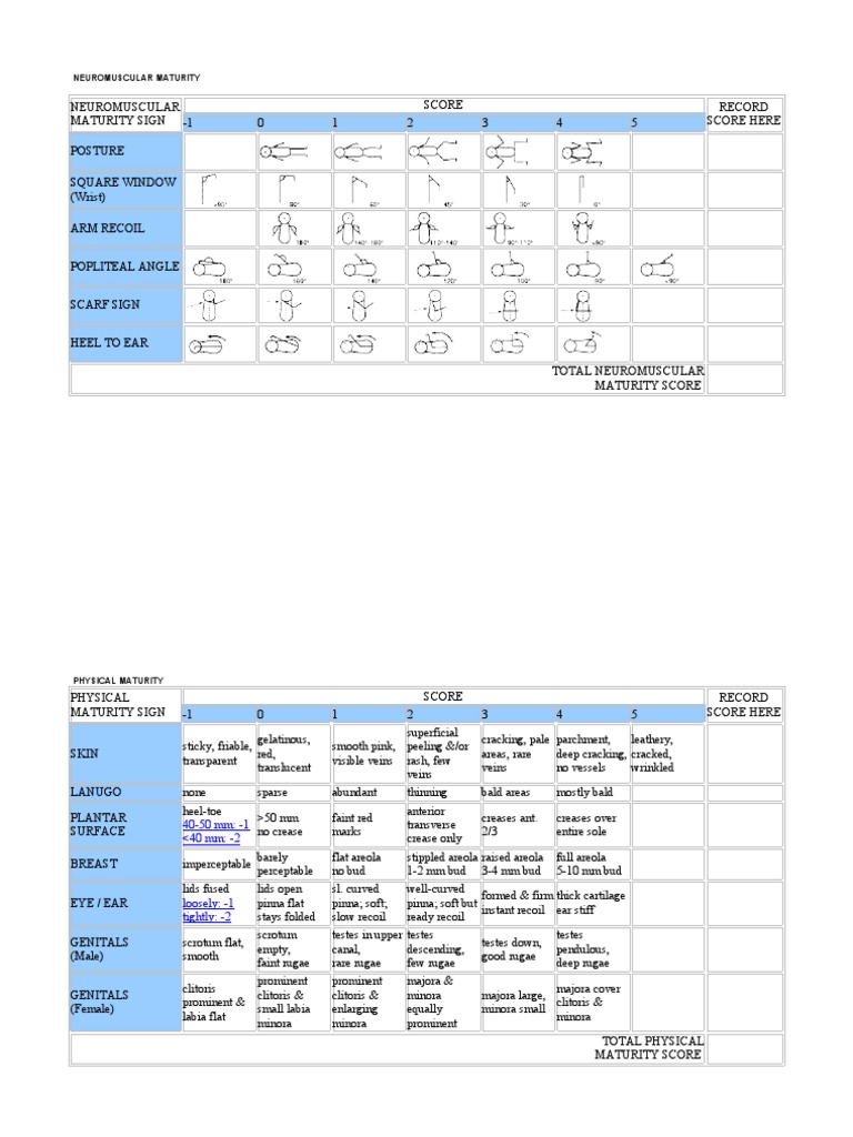Neuromuscular Maturity | PDF