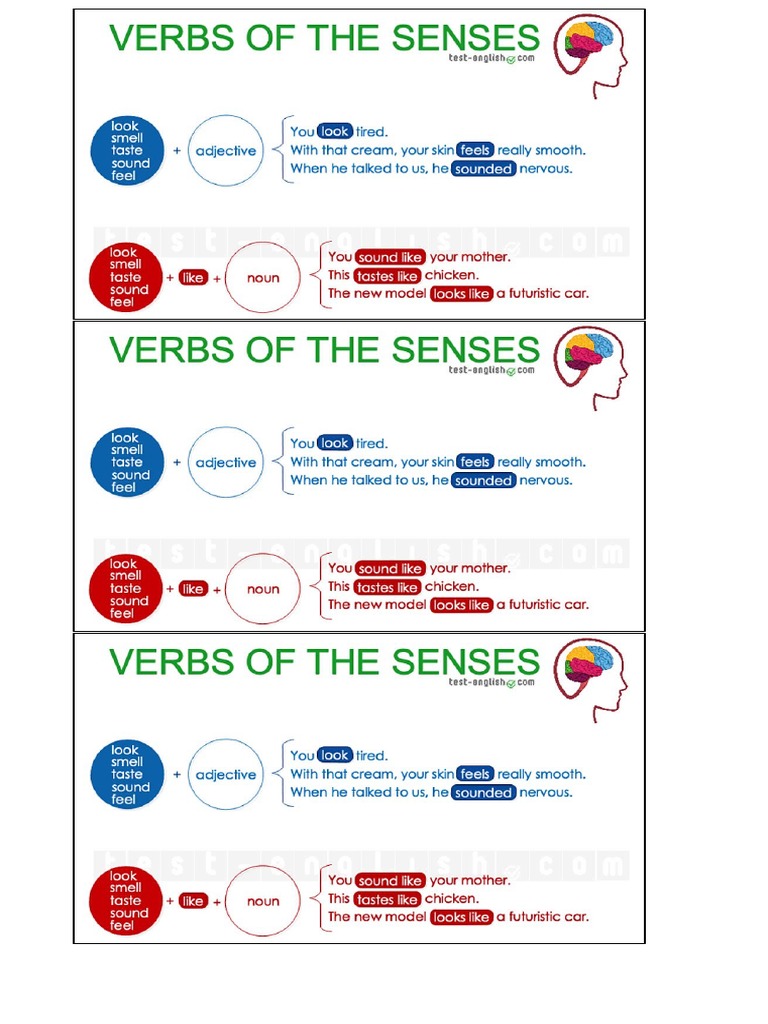 Verbs of The Senses - Ingles | PDF