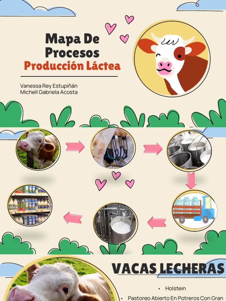 Mapa de Procesos Leche | PDF