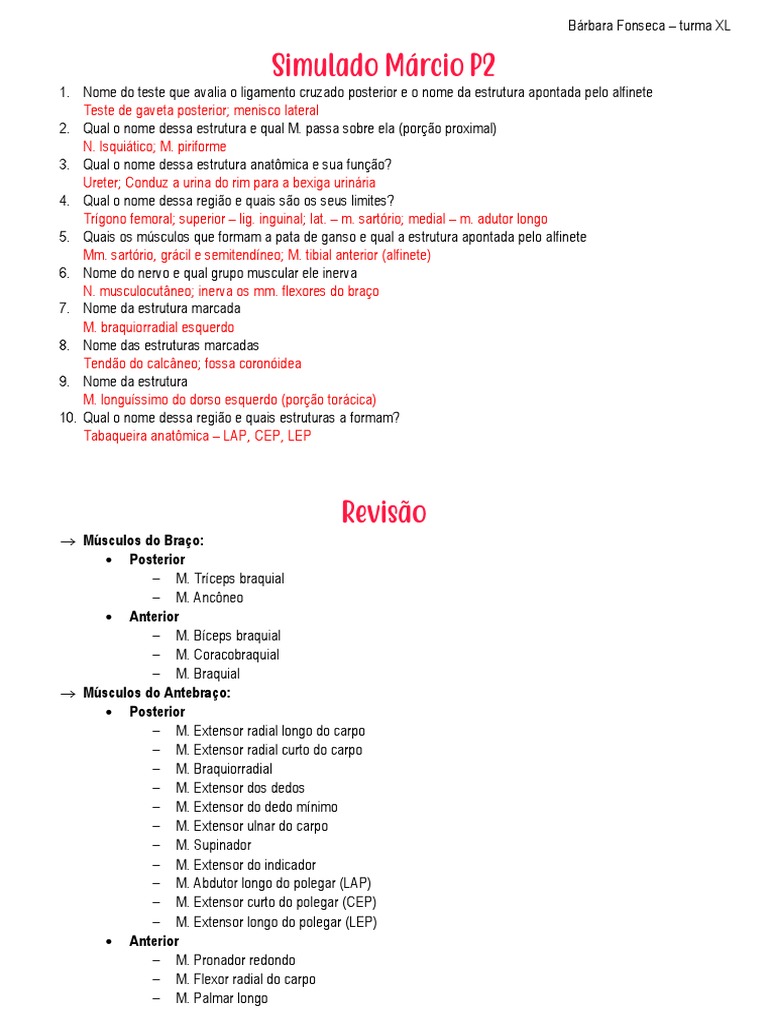 Anatomia da Tabaqueira e Músculos Relacionados | PDF | Sistema ...