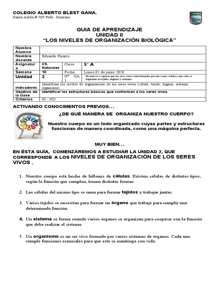 Sem10 CN 5 | Descargar gratis PDF | Organismos | Tejido (biología)