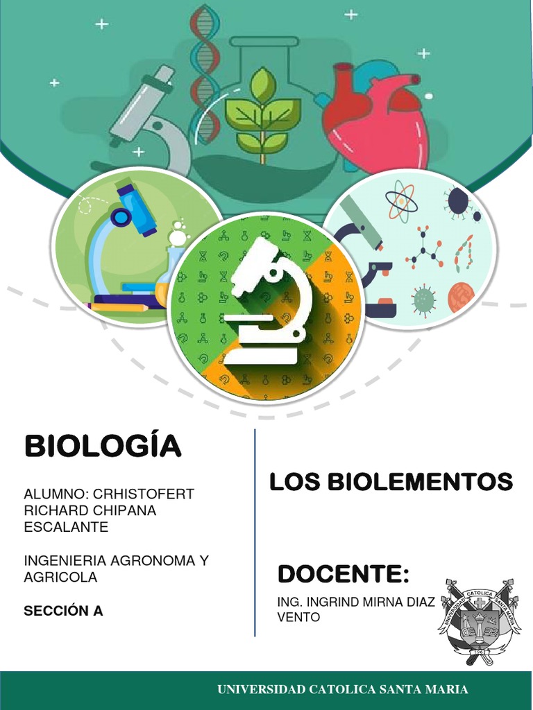 Infografía sobre Bioelementos Esenciales | PDF | Organismos | Biomoléculas