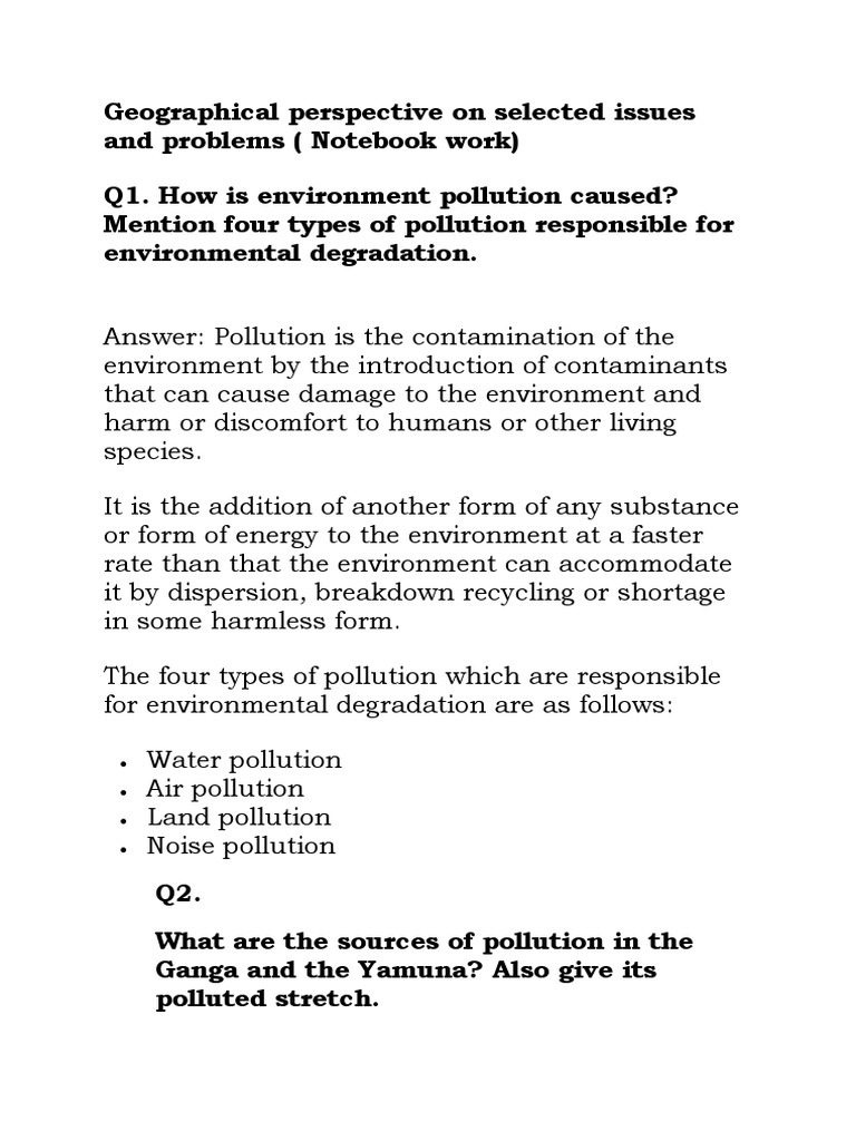 Q&A Geographical perspective on selected issues and problems | PDF