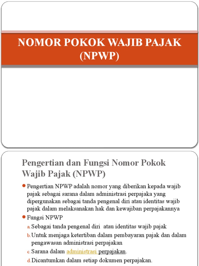 Panduan Lengkap NPWP | PDF