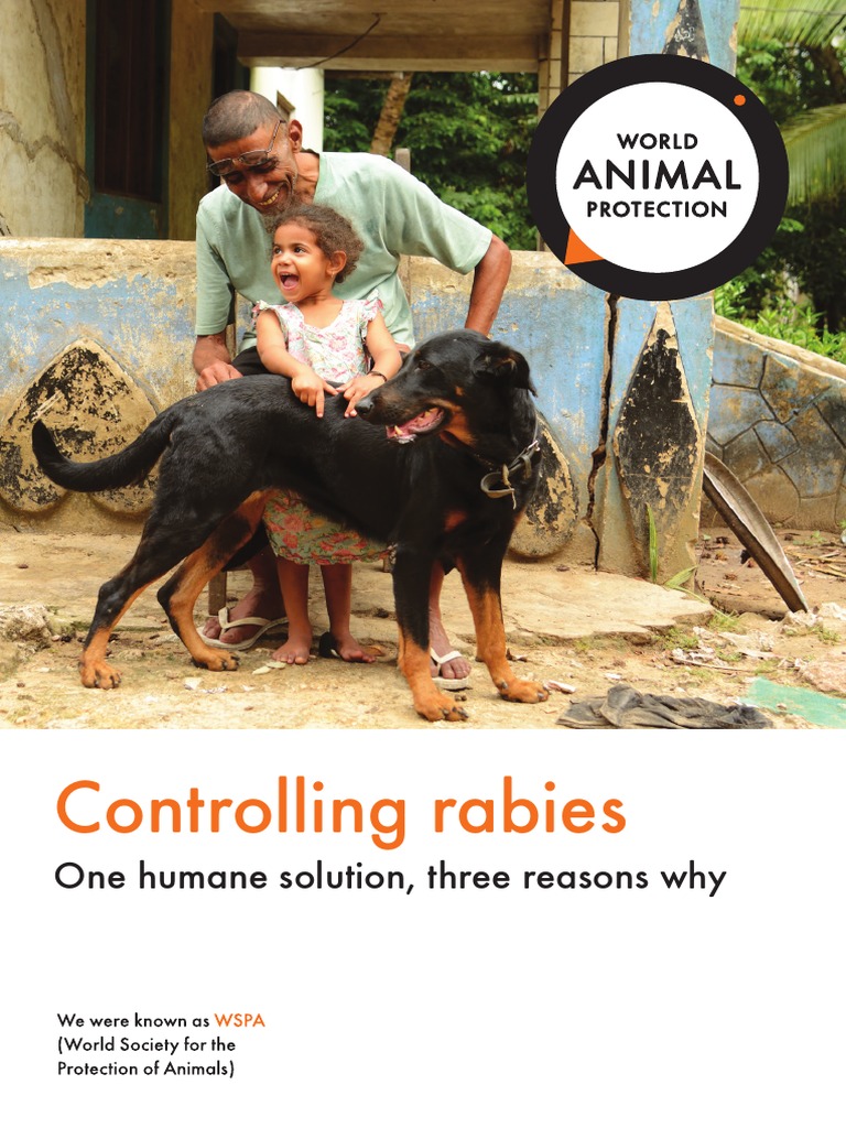 Controlling Rabies-One Humane Solution | PDF | Rabies | Vaccination