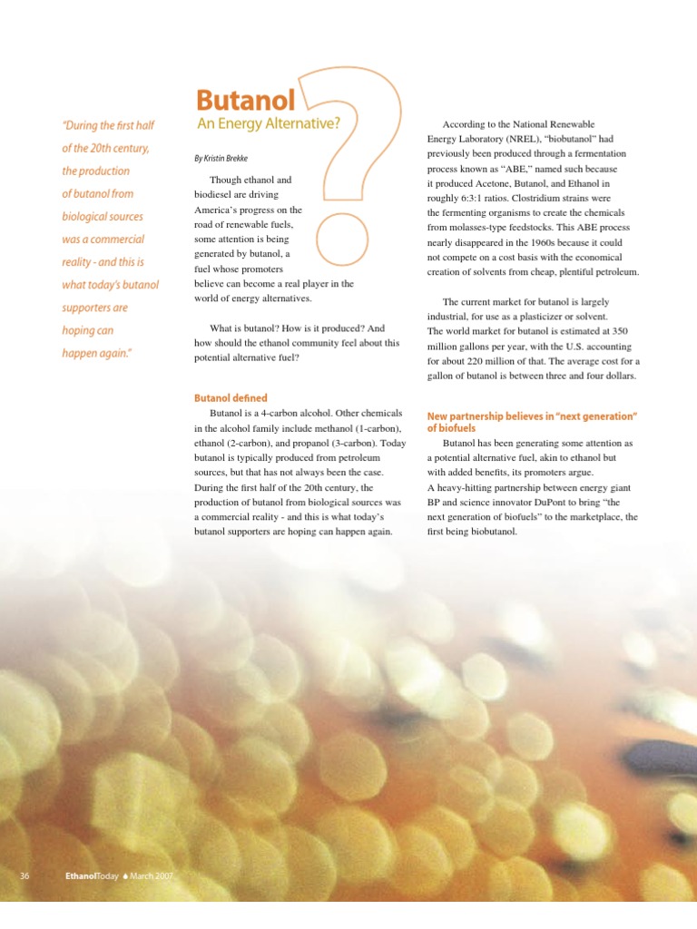 Biofuel Innovators: Butanol's Potential | PDF | Biofuel | Fuels