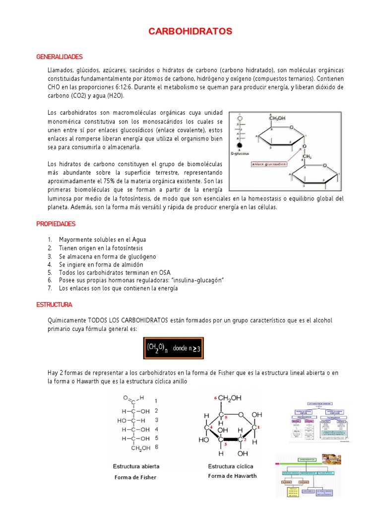Carbohidratos: Estructura y Función | PDF | Carbohidratos | Glucosa