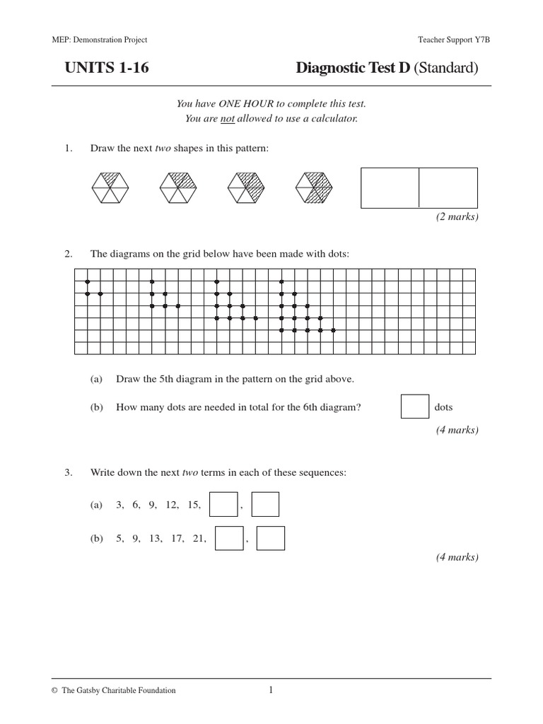 MEP Year 7 - Diagnostic Tests - Test_D | PDF