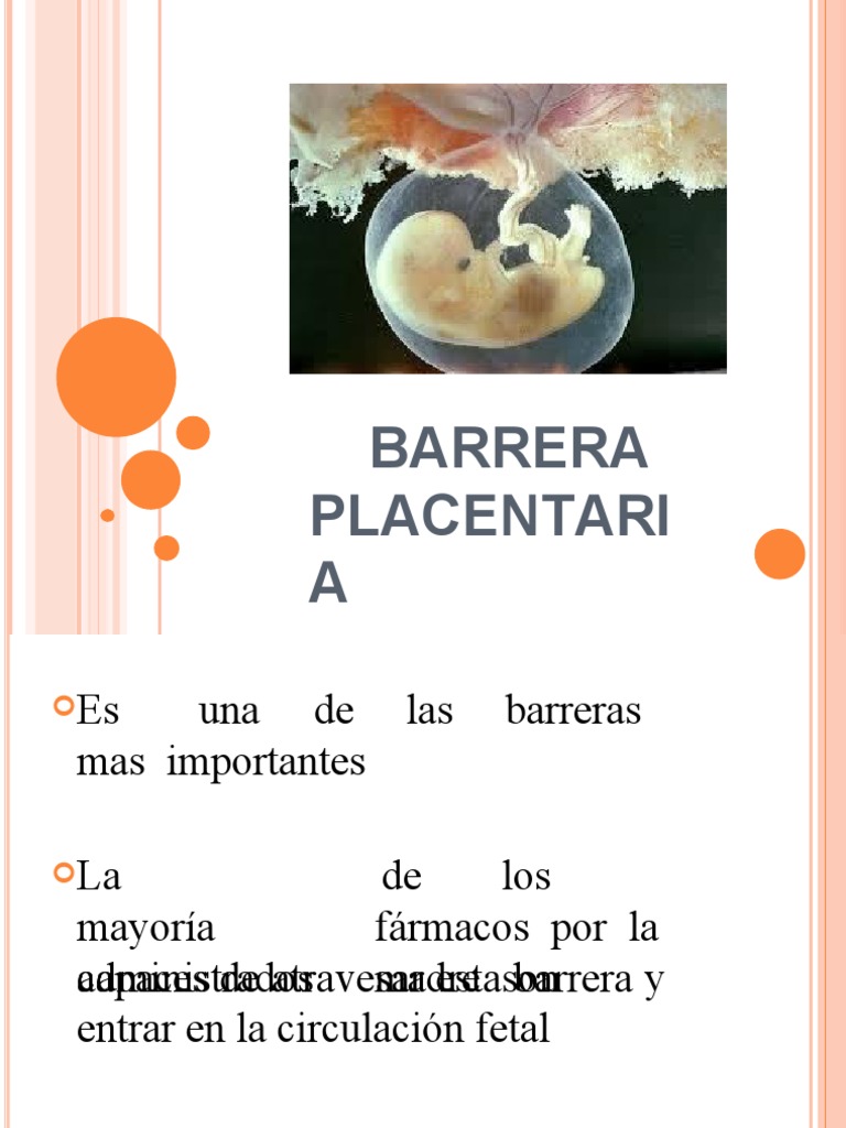 Barrera Placentaria | PDF