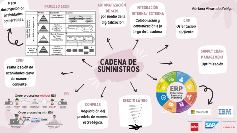 Mapa Mental: Cadena de Suministro | PDF