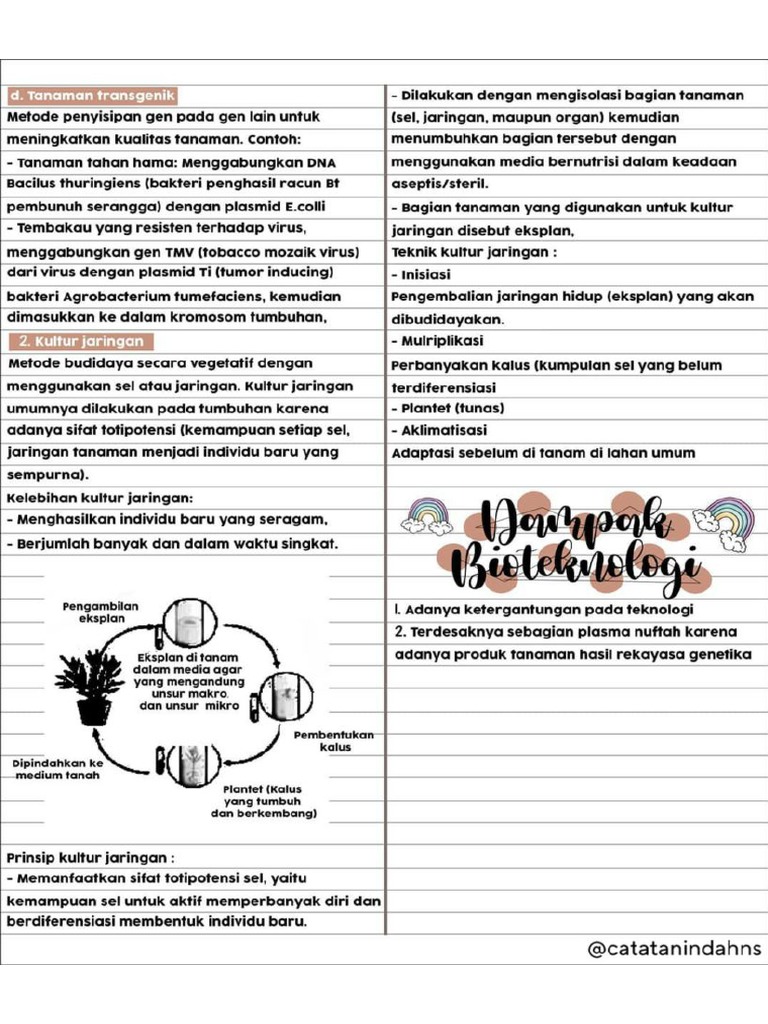 Biotek 2 Pdf
