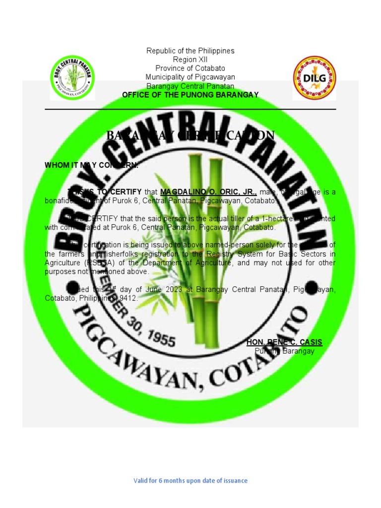 RSBSA Tiller Certificate | PDF