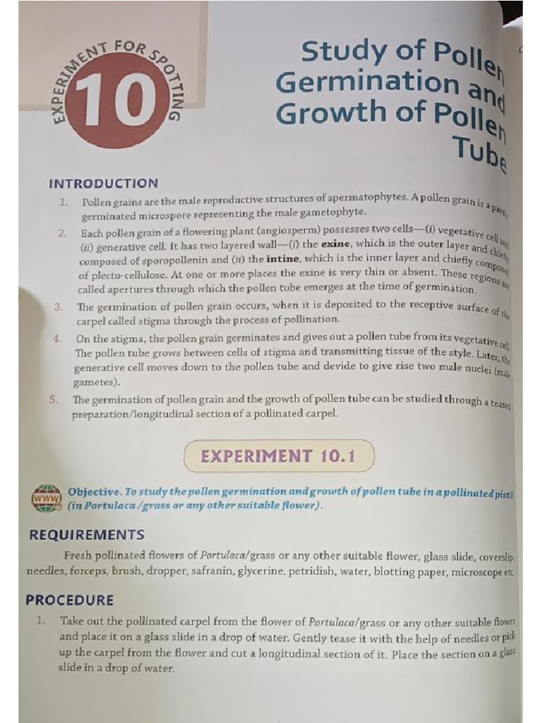 Experiment IV | PDF