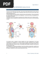 Anatomy of the Human Trunk | PDF | Abdomen | Thorax