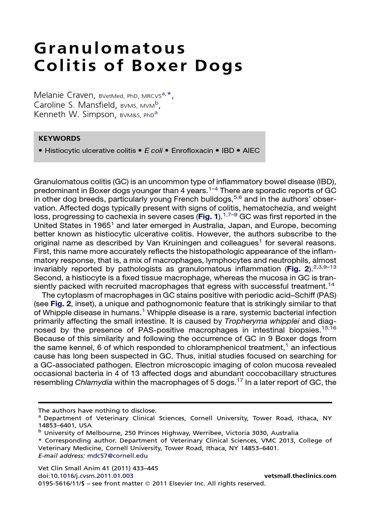 Granulomatous Colitis of Boxer Dogs | PDF | Crohn's Disease | Macrophage