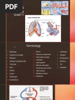 Grade 11 Life Sciences Revision Material Term 3 and 4 - 2023 | PDF ...