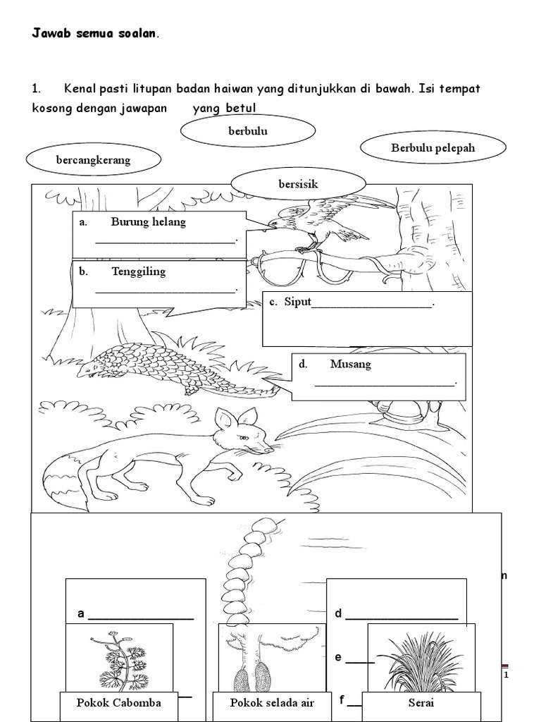 Soalan Subjektif Sains Aras Rendah Pdf