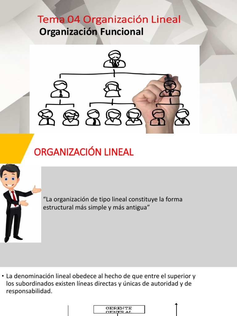 Tema 04 Organización Lineal - Organización Funcional | PDF | Business ...