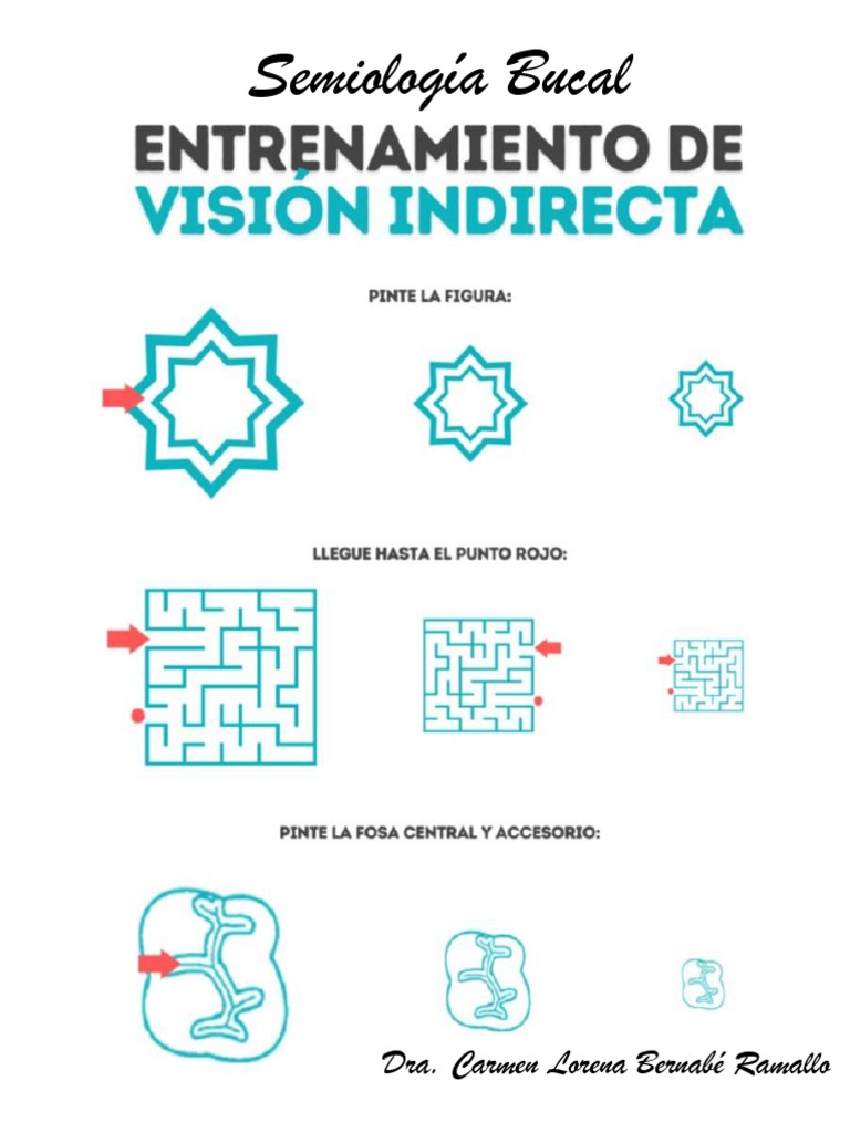 Entrenamiento de Visión Indirecta | PDF