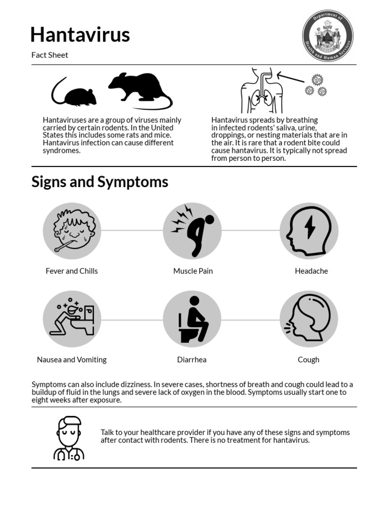 Hantavirus Fact Sheet | PDF | Diseases And Disorders | Clinical Medicine