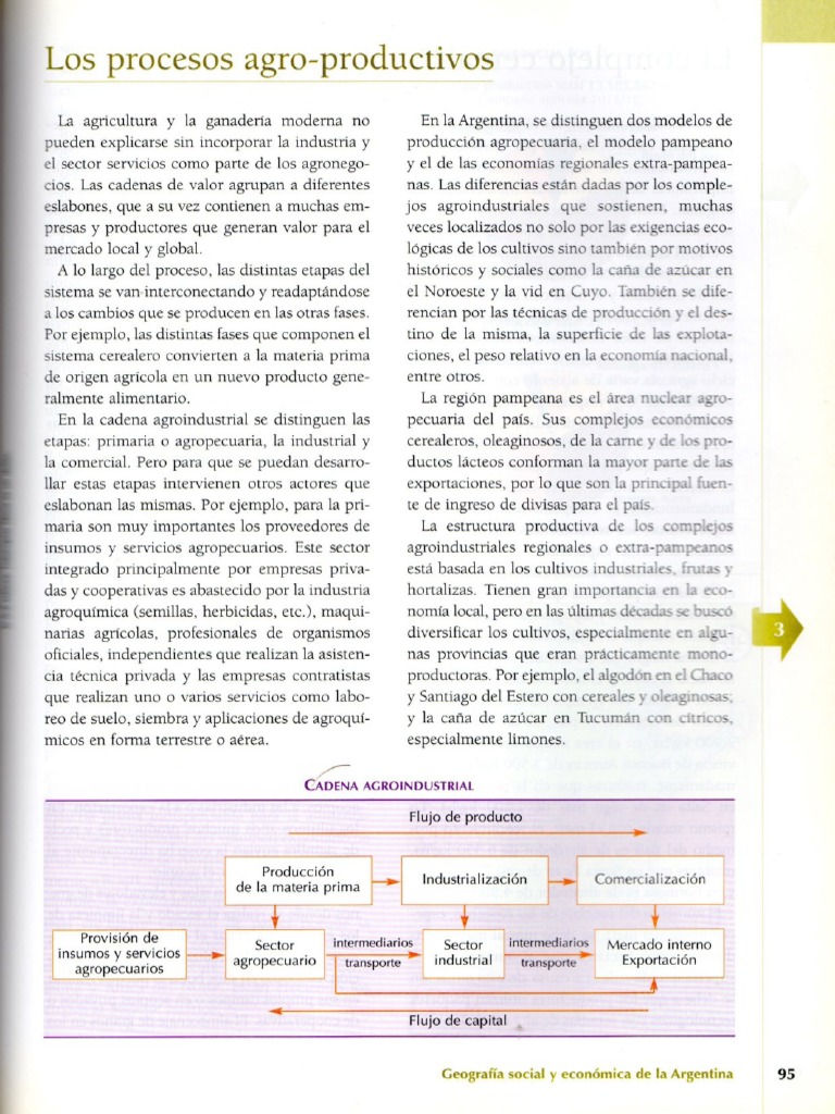 Procesos Productivos - Libro | PDF