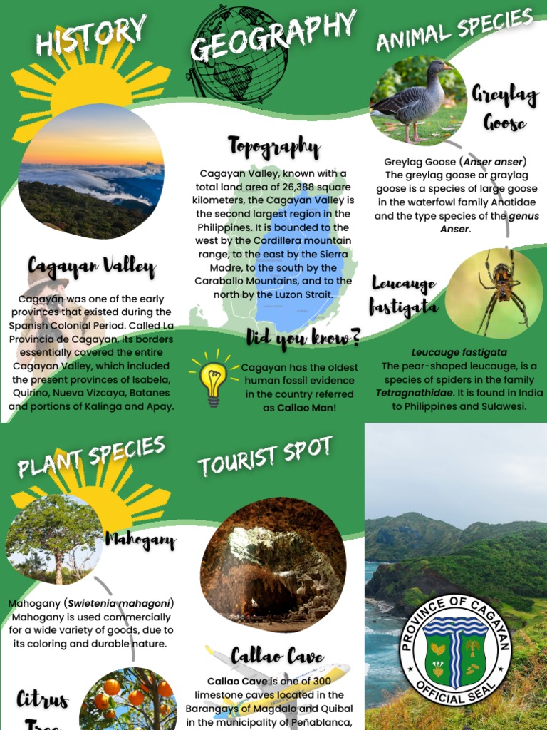 Trifold Brochure - Cagayan Valley | PDF | Bird Hunting | Poultry