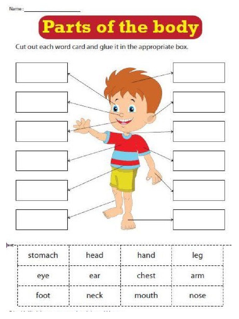 Gambar Body Parts 1 | PDF