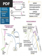 Antibiotic Chart-Infectious Disease Bug Drug Table-2019 | PDF | Medical ...