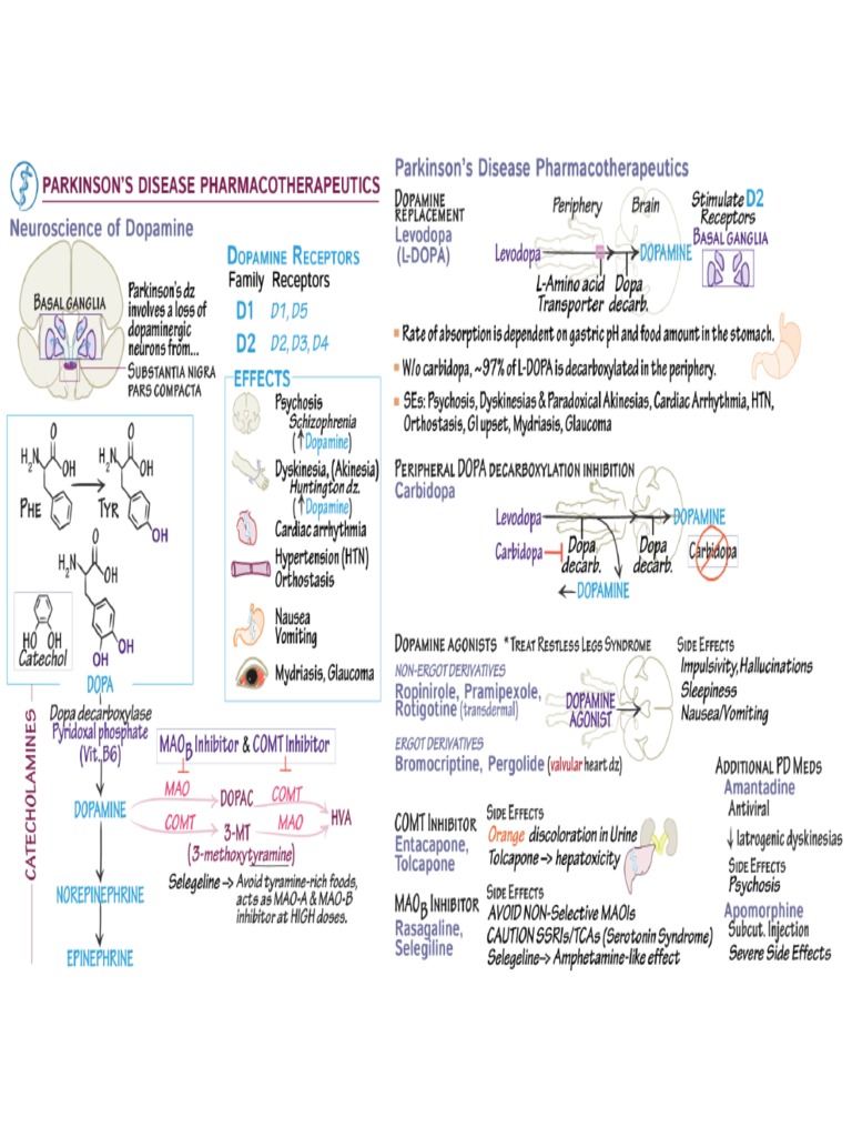 DITKI Parkinson | PDF